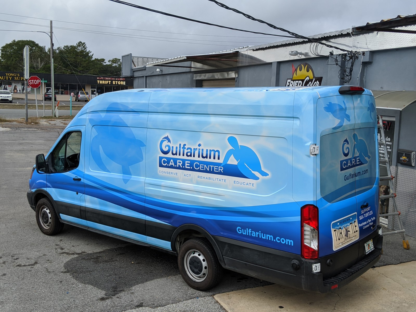 Complete transit wrap | Fried Color