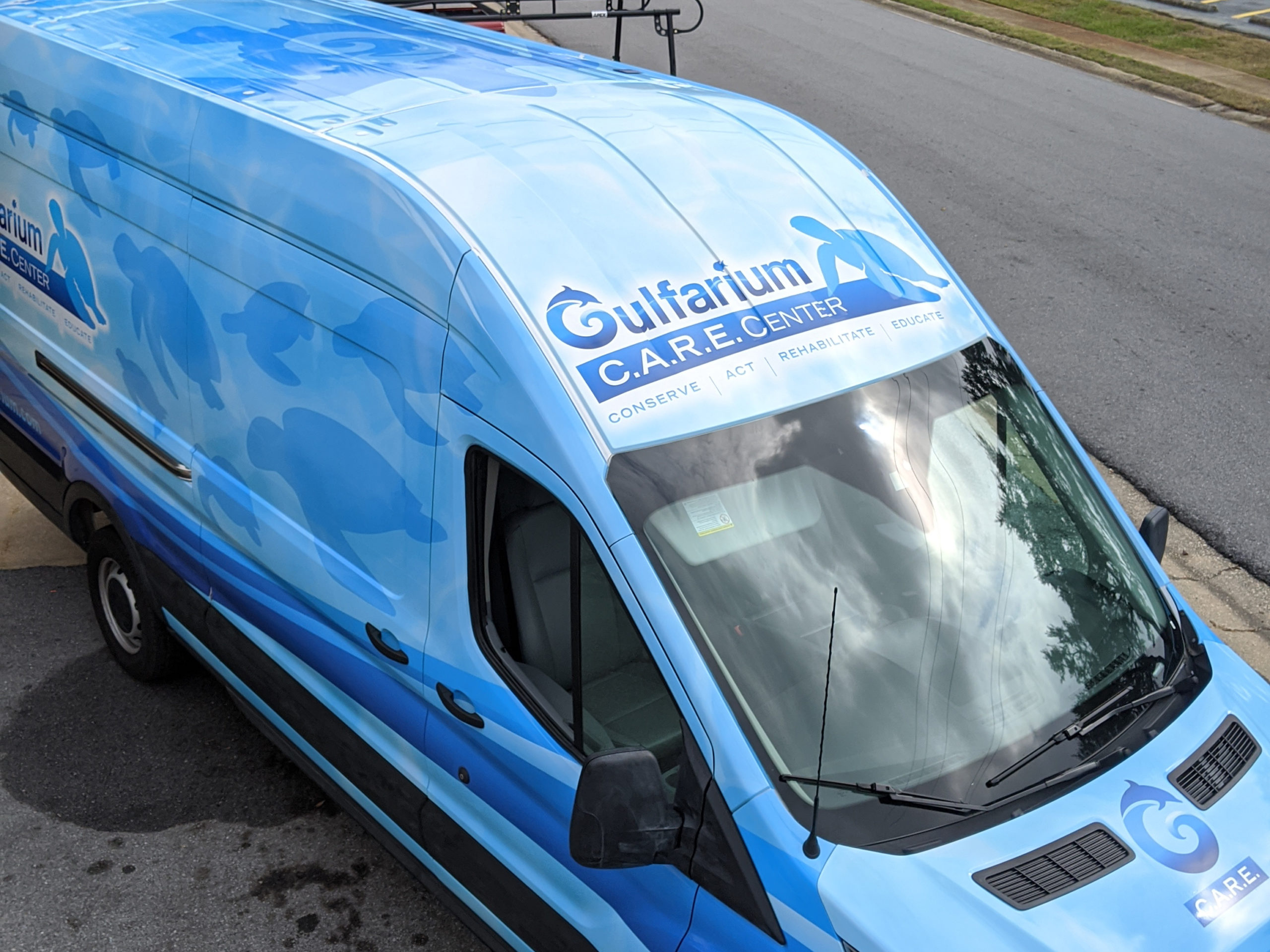 Commercial Wrap | Fried Color